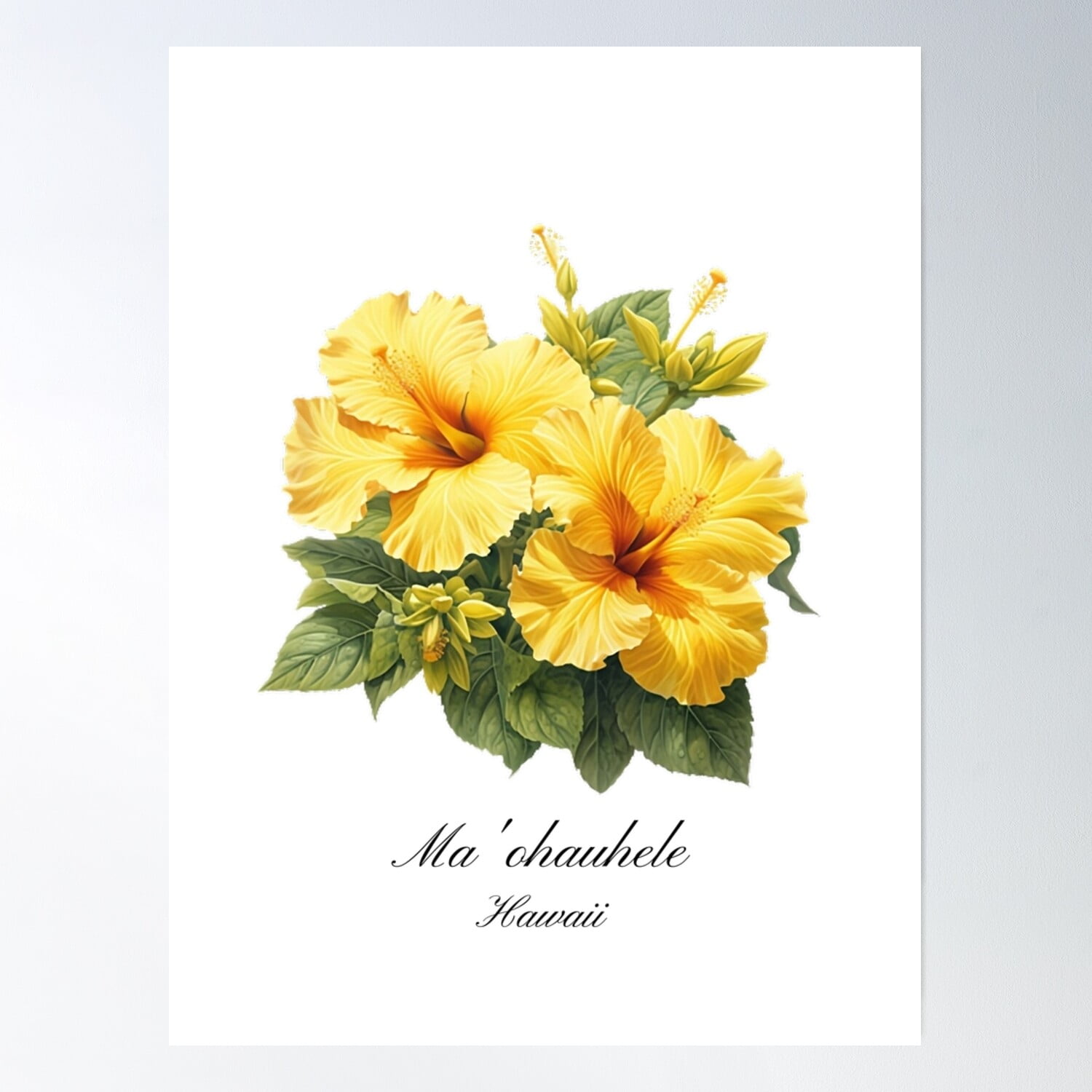 Modroom Hawaii State Flower-Yellow Hibiscus (Ma'Ohauhele) Poster Wall ...