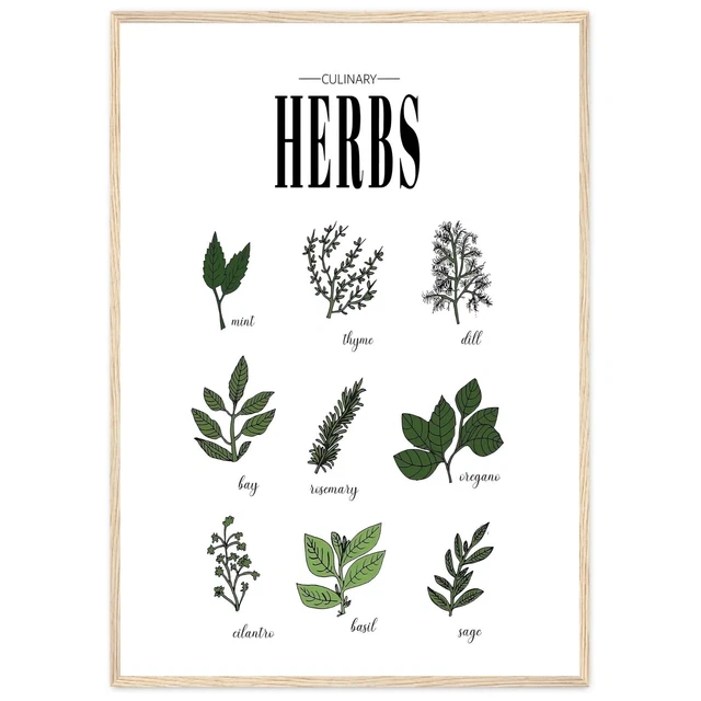 Modroom Herbs Print Herbs Poster Culinary Herbs Kitchen Herb Print ...