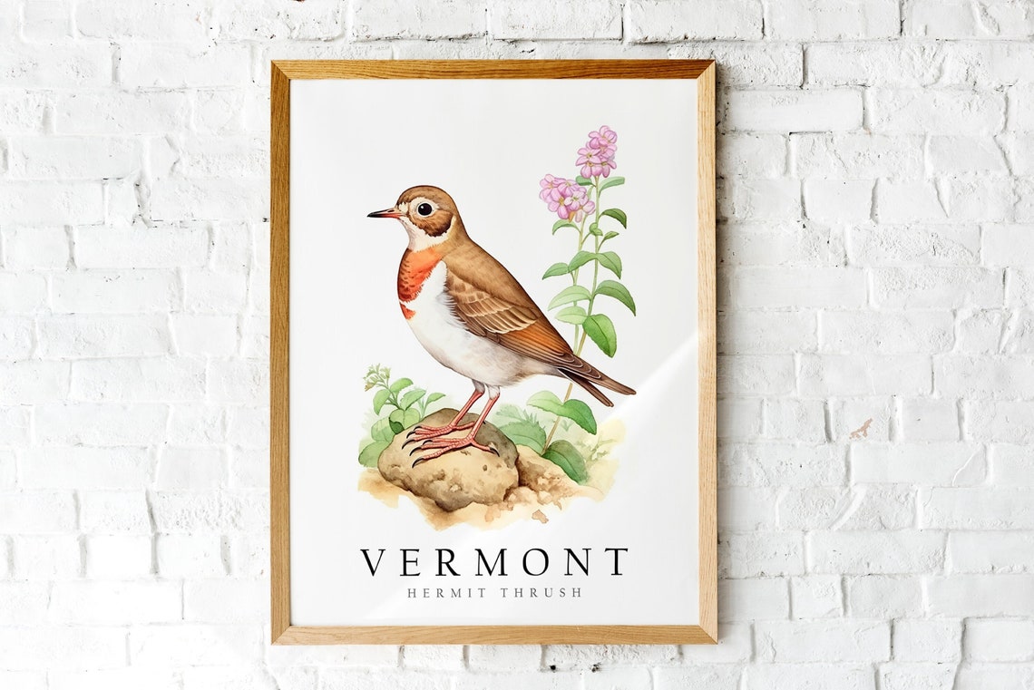 Modroom Hermit Thrush Vermont State Bird Poster Nature Art Poster Wall ...