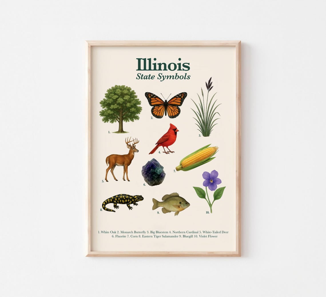 Modroom Illinois State Symbols Poster | Educational | State Animal ...