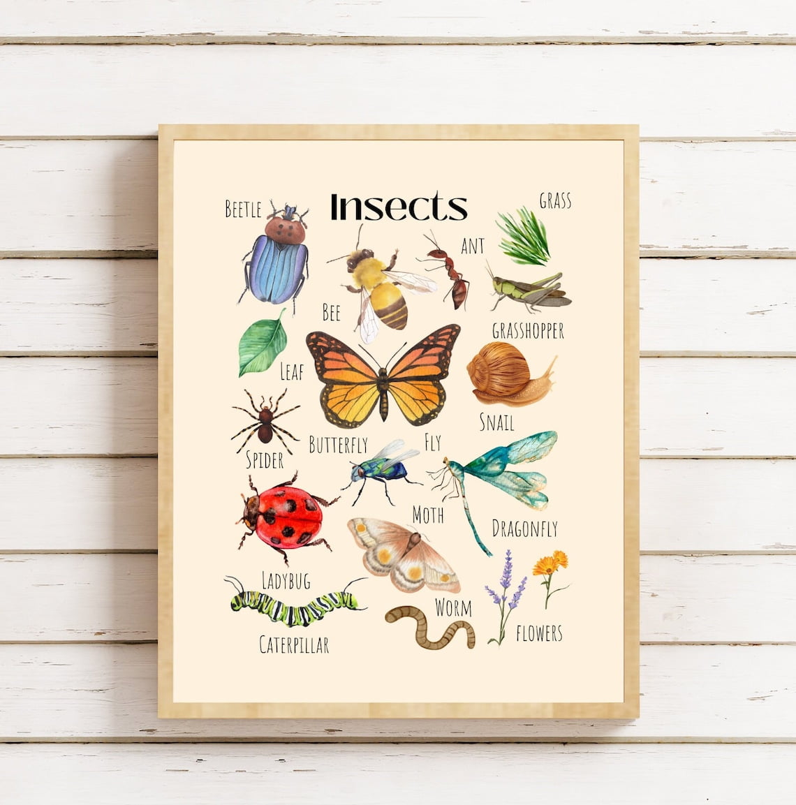Modroom Insects Kids Poster, Insects Wall Art, Nature Learning Poster ...