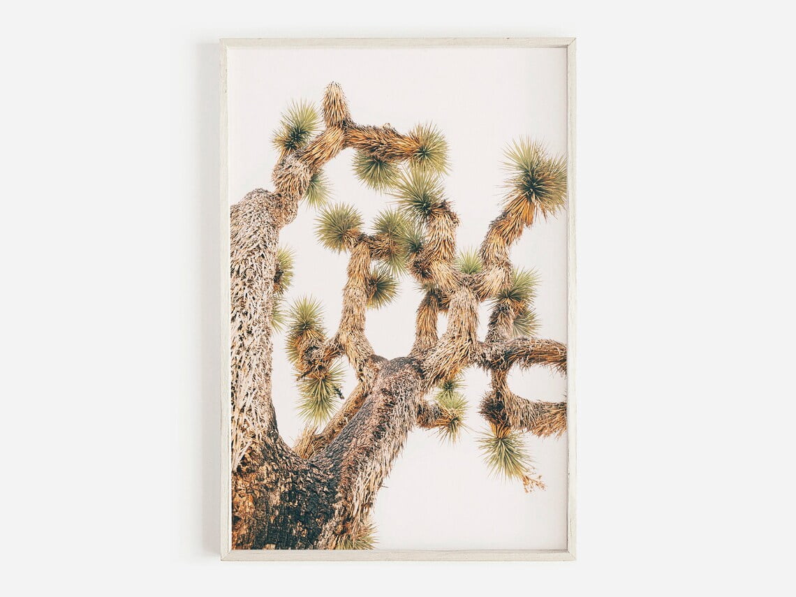 Modroom Joshua Tree Print, California Desert, Joshua Tree Art, Desert ...