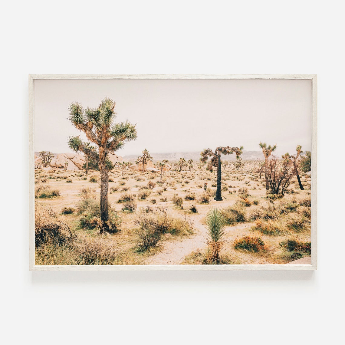 Modroom Joshua Tree Print, Desert Prints, Modern Wall Art, Desert Art ...