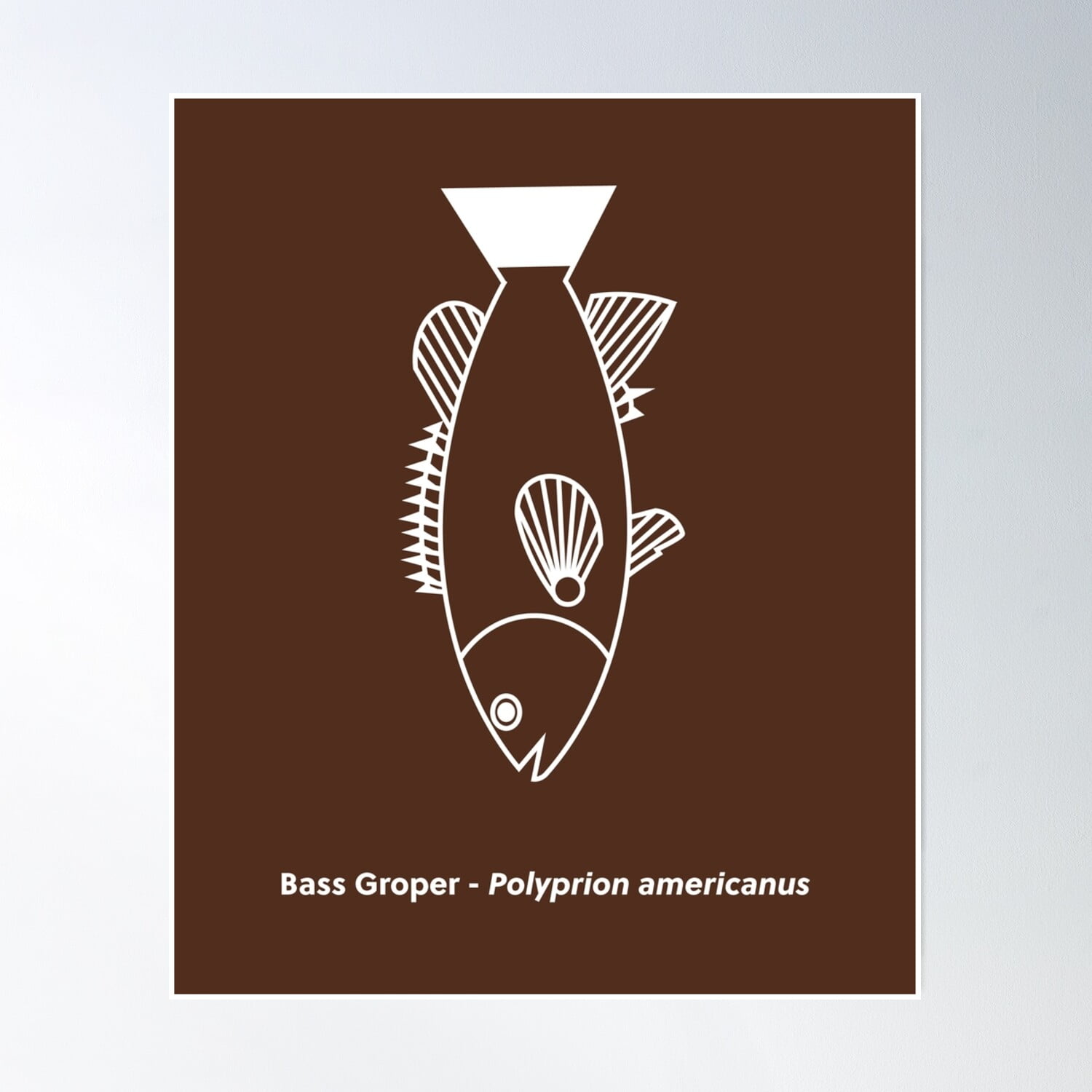 Modroom Kawaii Bass Groper Fish In White On Chocolate Brown Poster Wall ...
