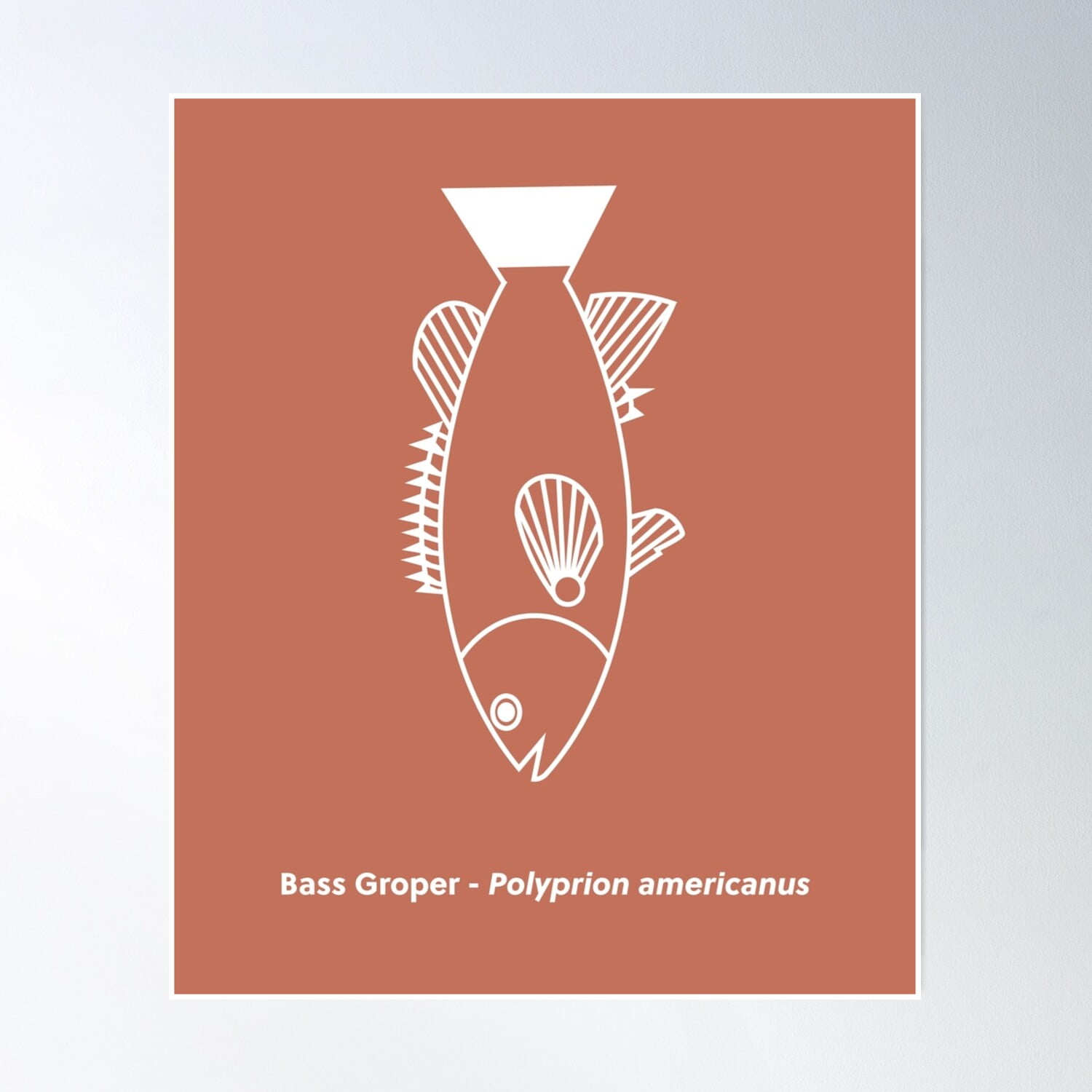 Modroom Kawaii Bass Groper Fish In White On Clay Poster Wall Art ...