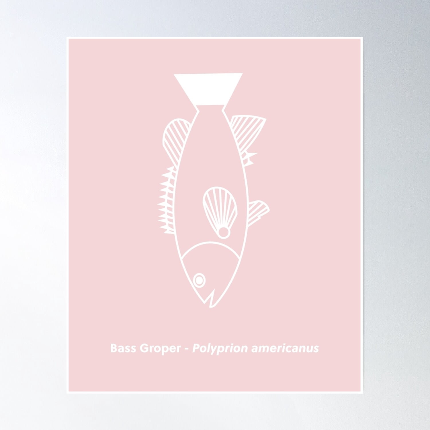 Modroom Kawaii Bass Groper Fish In White On Pastel Pink Poster Wall Art ...