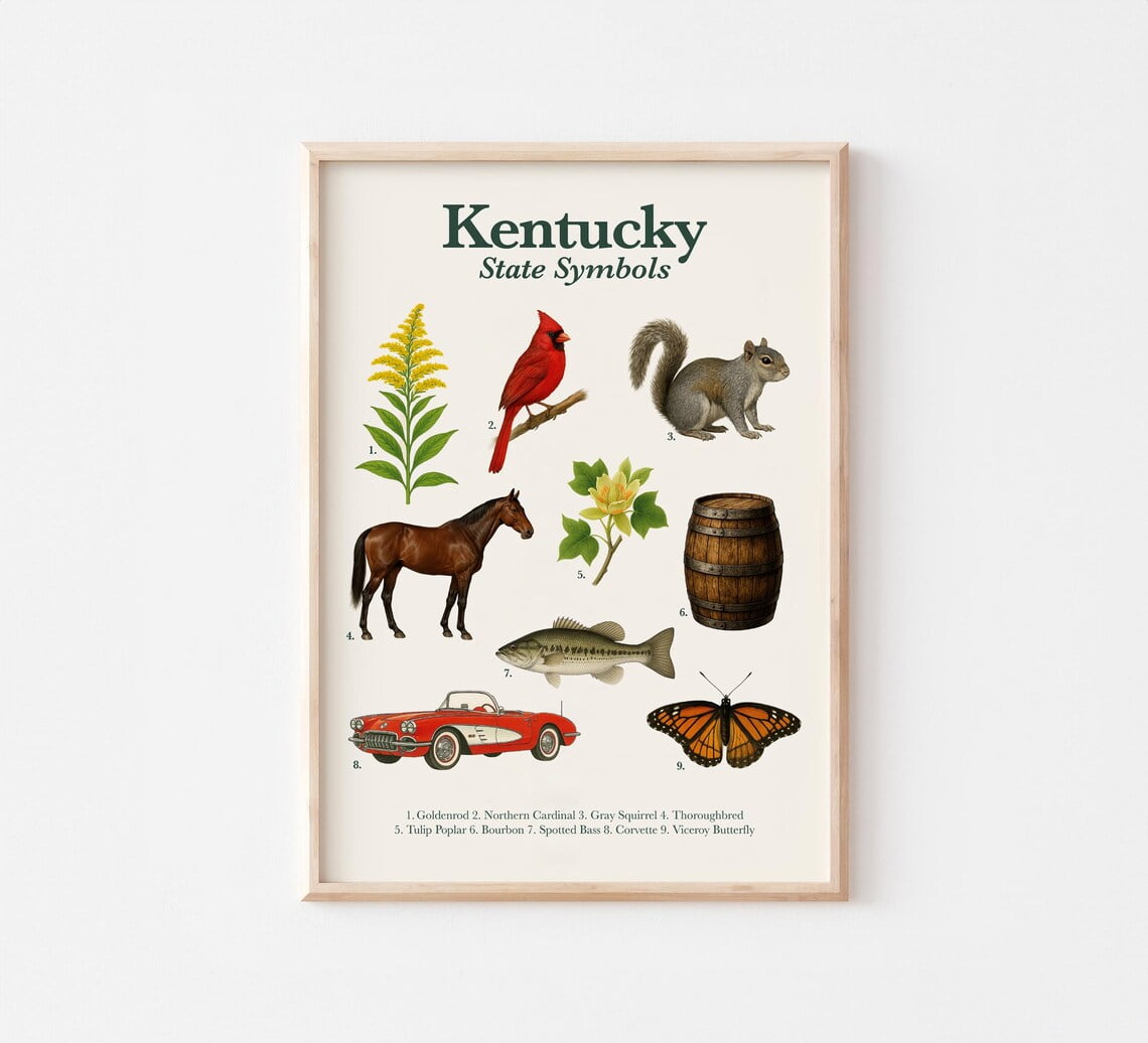 Modroom Kentucky State Symbols Poster | Educational | State Animal ...