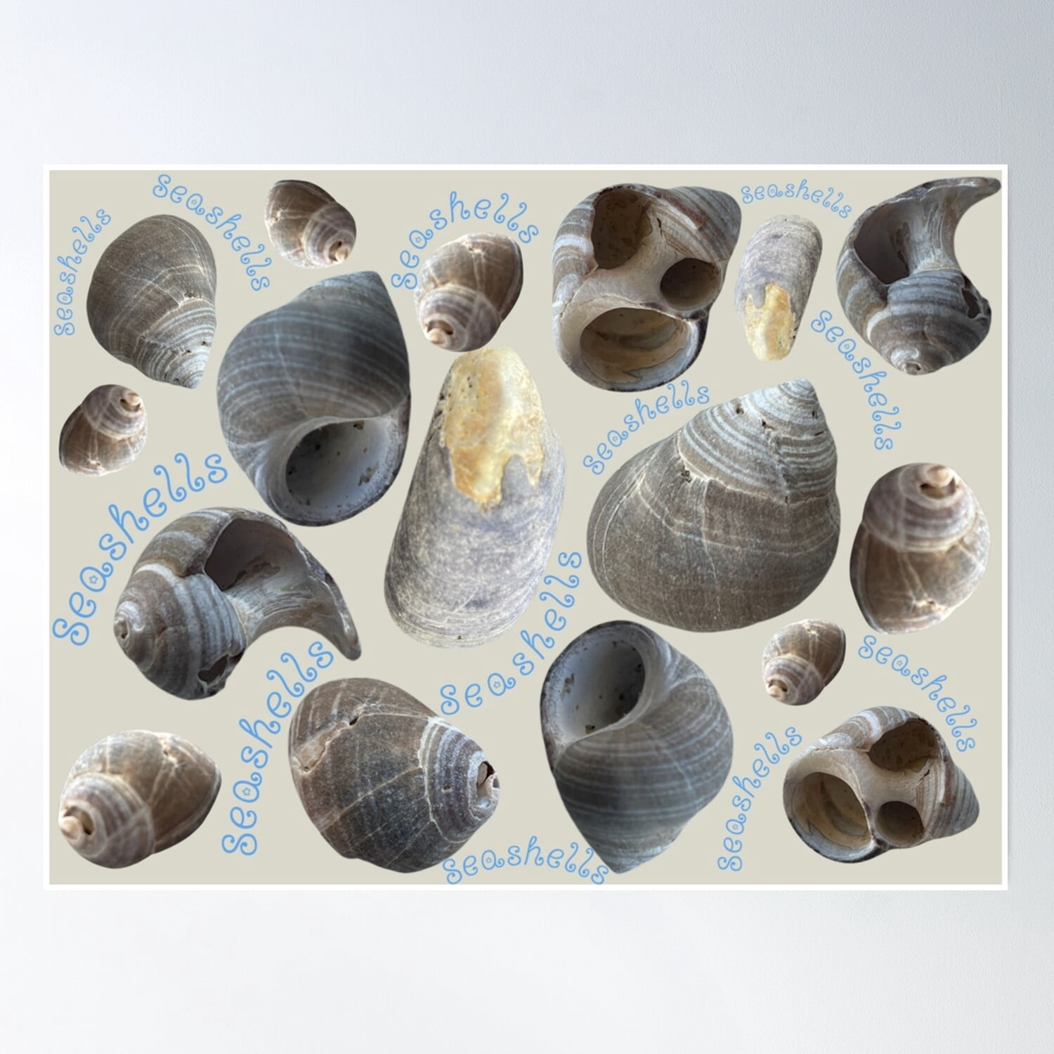 Modroom Little Jewels Of The Sea Poster Wall Art, Modern Wall Decor ...