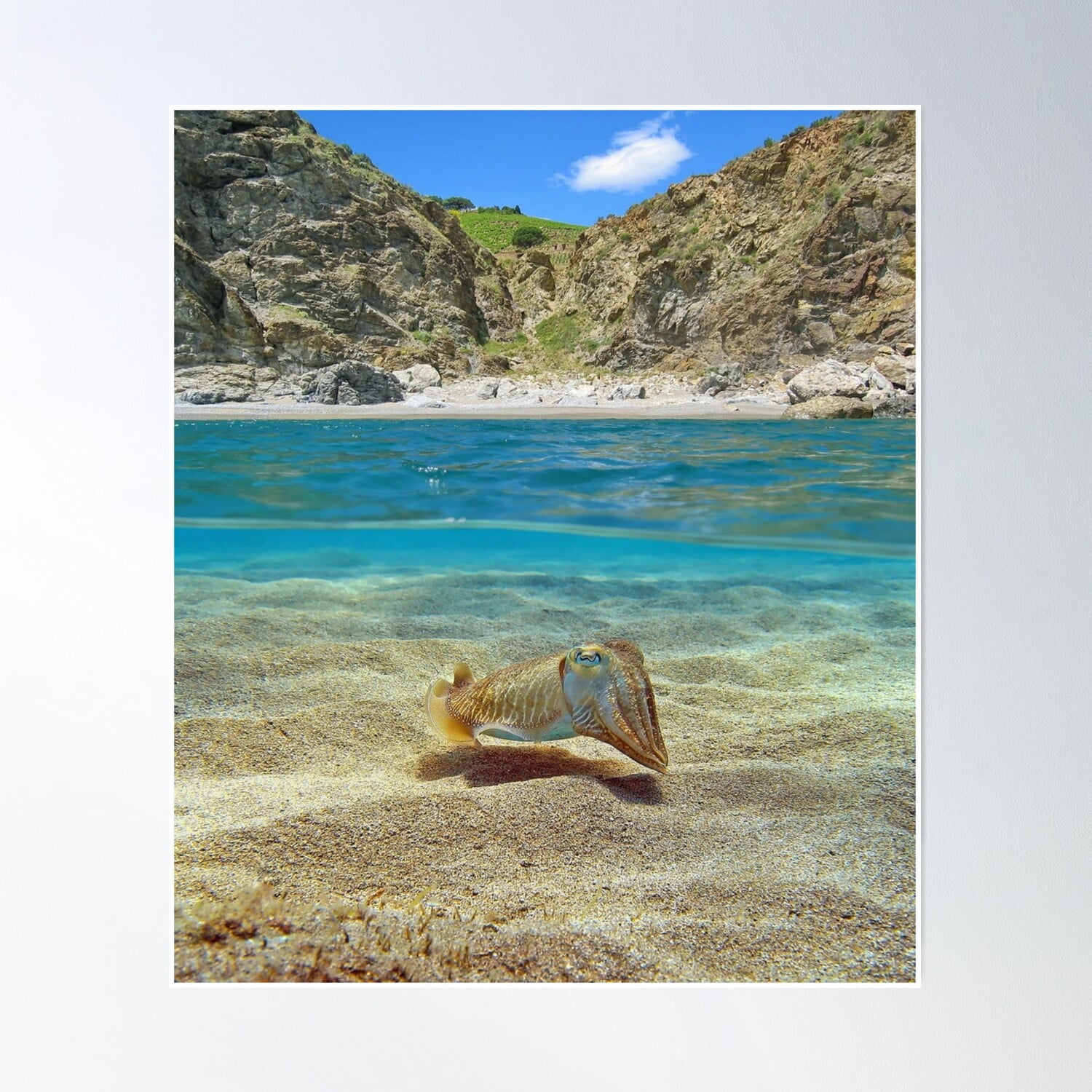 Modroom Mediterranean Cove With Cuttlefish Underwater Poster Wall Art ...