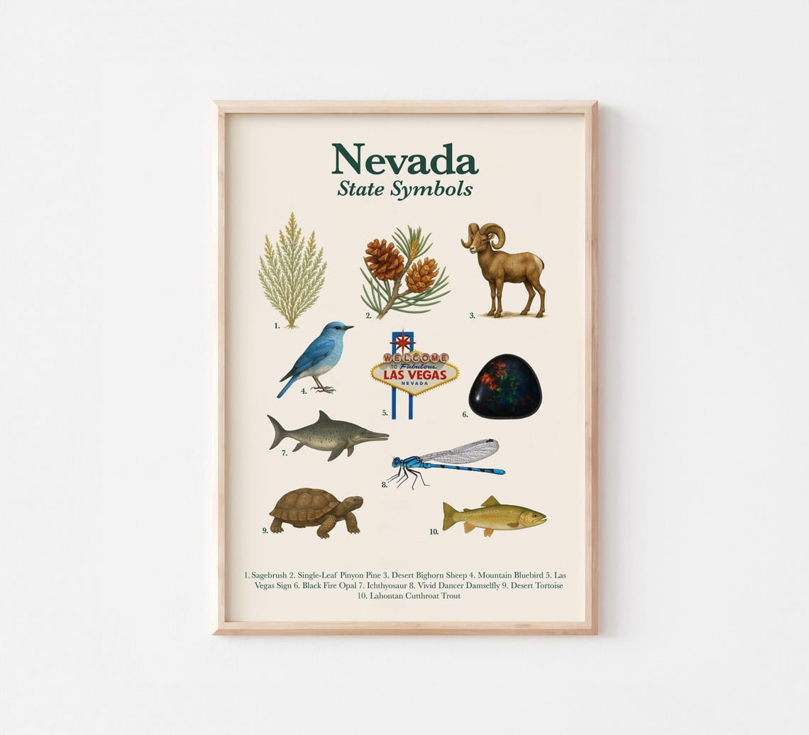 Modroom Nevada State Symbols Poster | Educational | State Animal, Bird ...