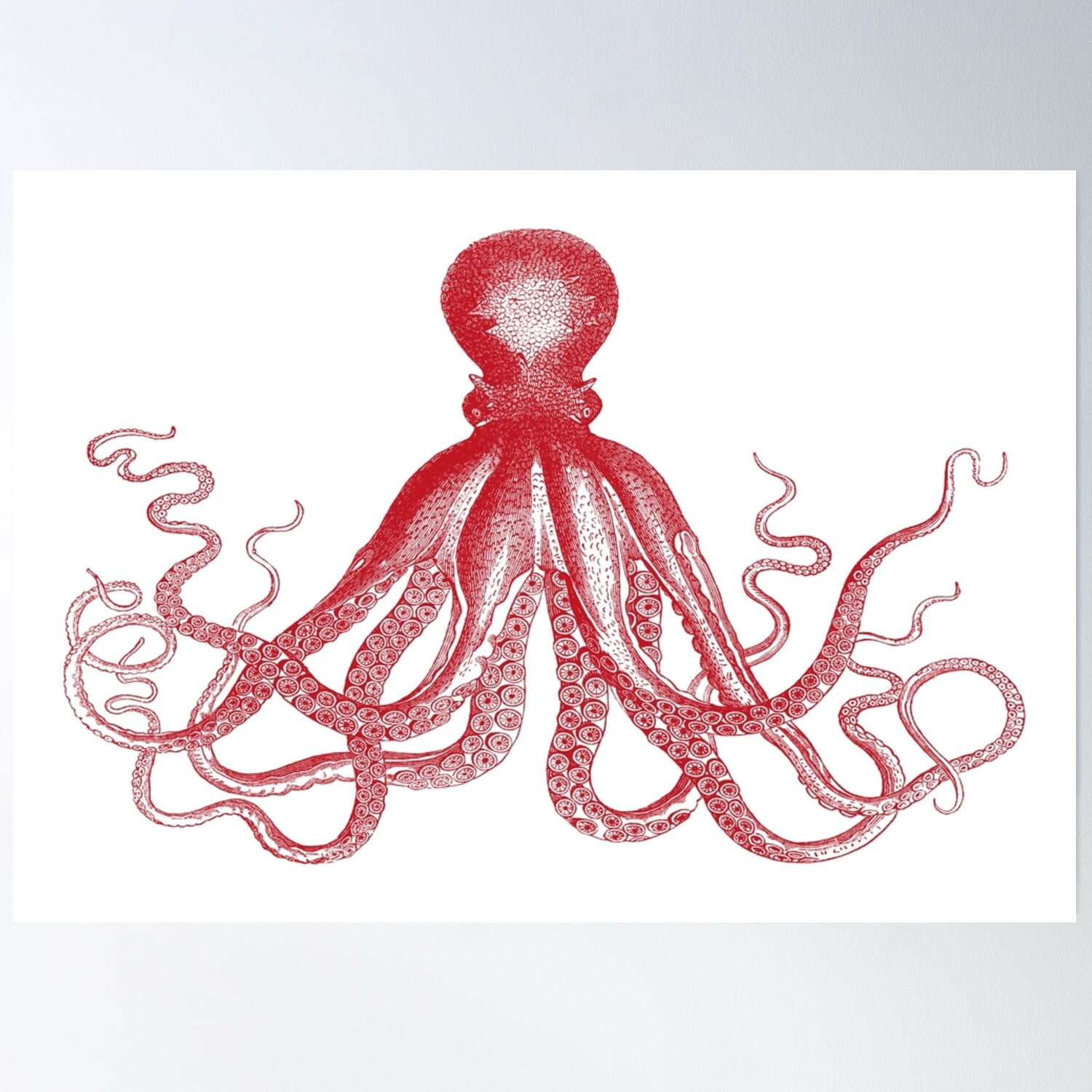 Modroom Octopus | Vintage Octopus | Tentacles | Sea Creatures ...