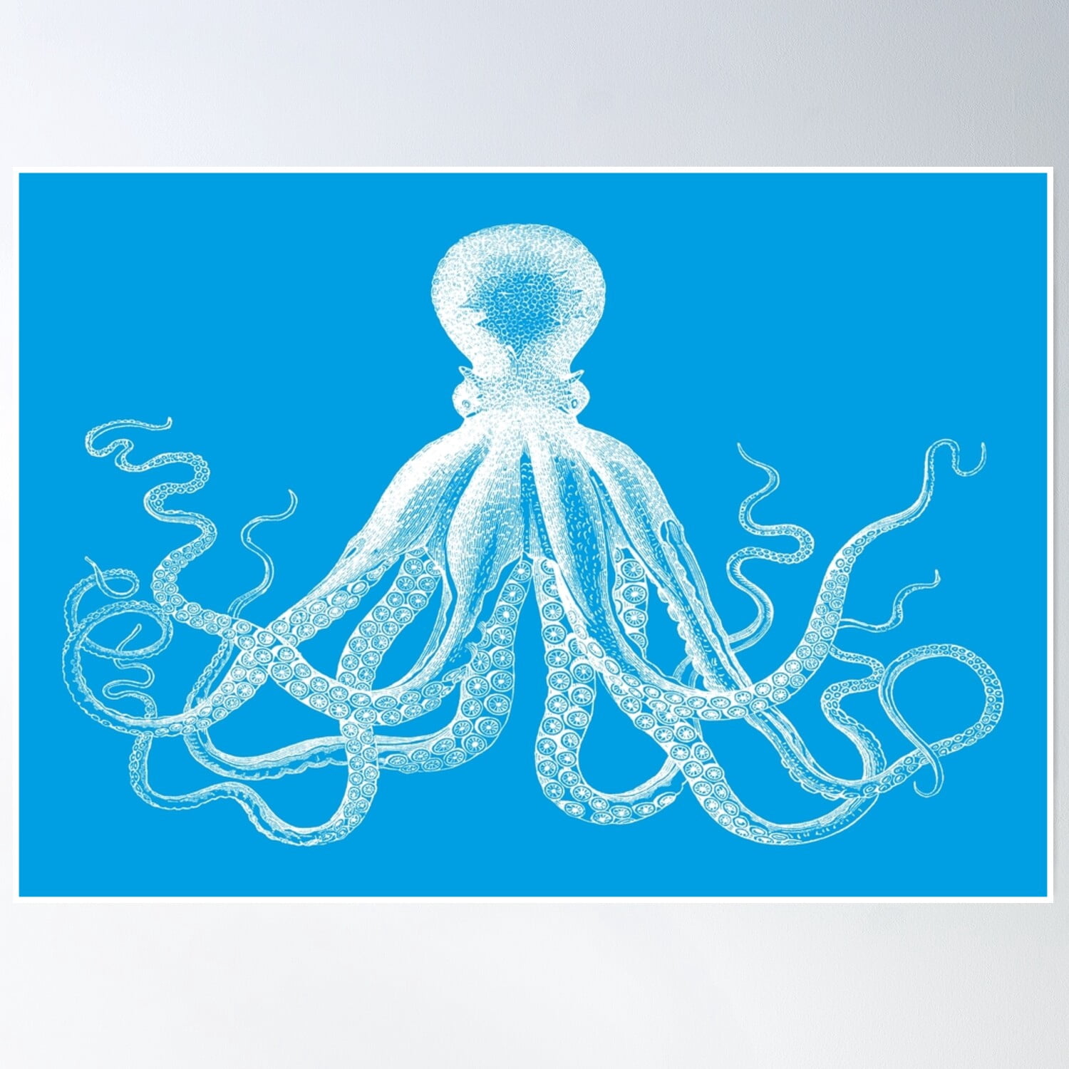Modroom Octopus | Vintage Octopus | Tentacles | Sea Creatures ...