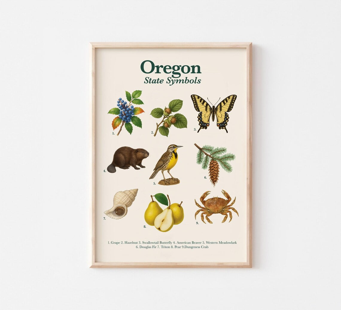 Modroom Oregon State Symbols Poster Illustrated Educational Wall Art ...