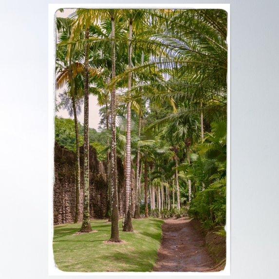 Modroom Palms In Tropical Garden Poster Wall Art, Modern Wall Decor ...