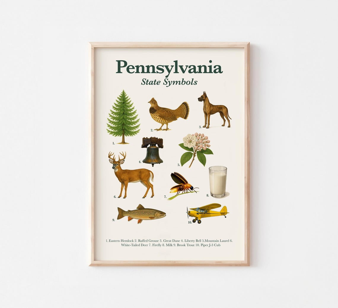 Modroom Pennsylvania State Symbols Poster | Educational Wall Art State ...