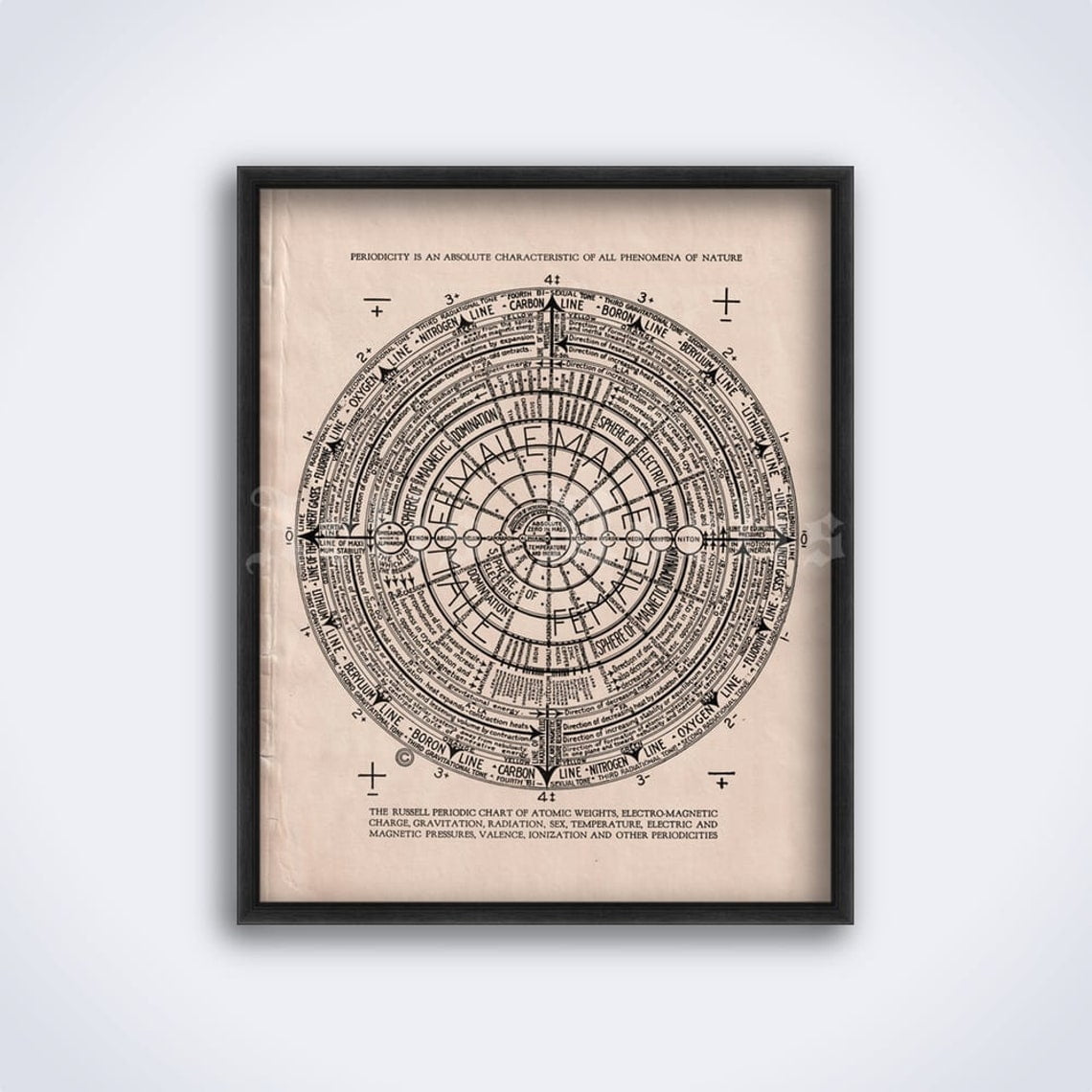 Modroom Periodic Chart, Diagram By Walter Russell, Nature Philosophy ...