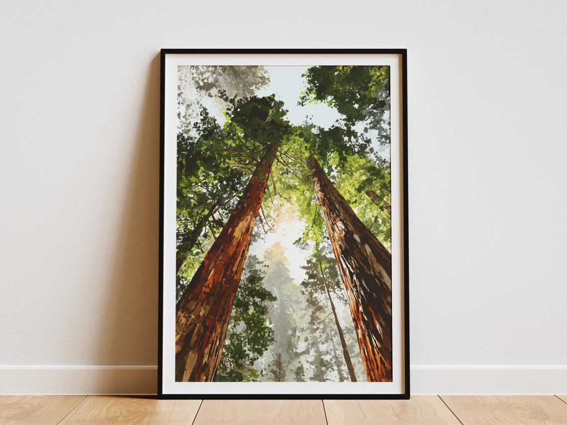 Modroom Redwood National Park Poster California Travel Art Print Forest ...