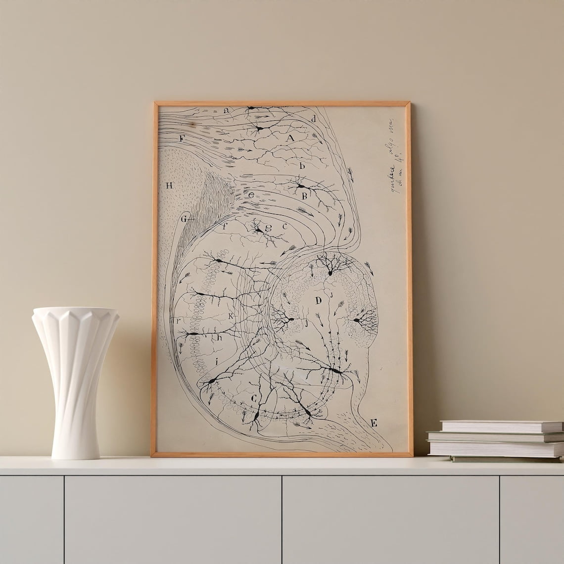 Modroom Santiago Ramón Y Cajal - Neuron Painting, Neuron Painting ...