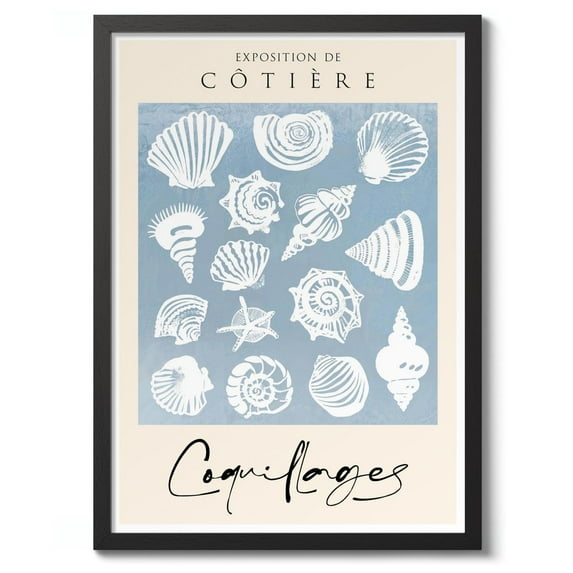 Modroom Sea Shells, Exhibition Poster, Nature Decor, Crustacean Sea ...