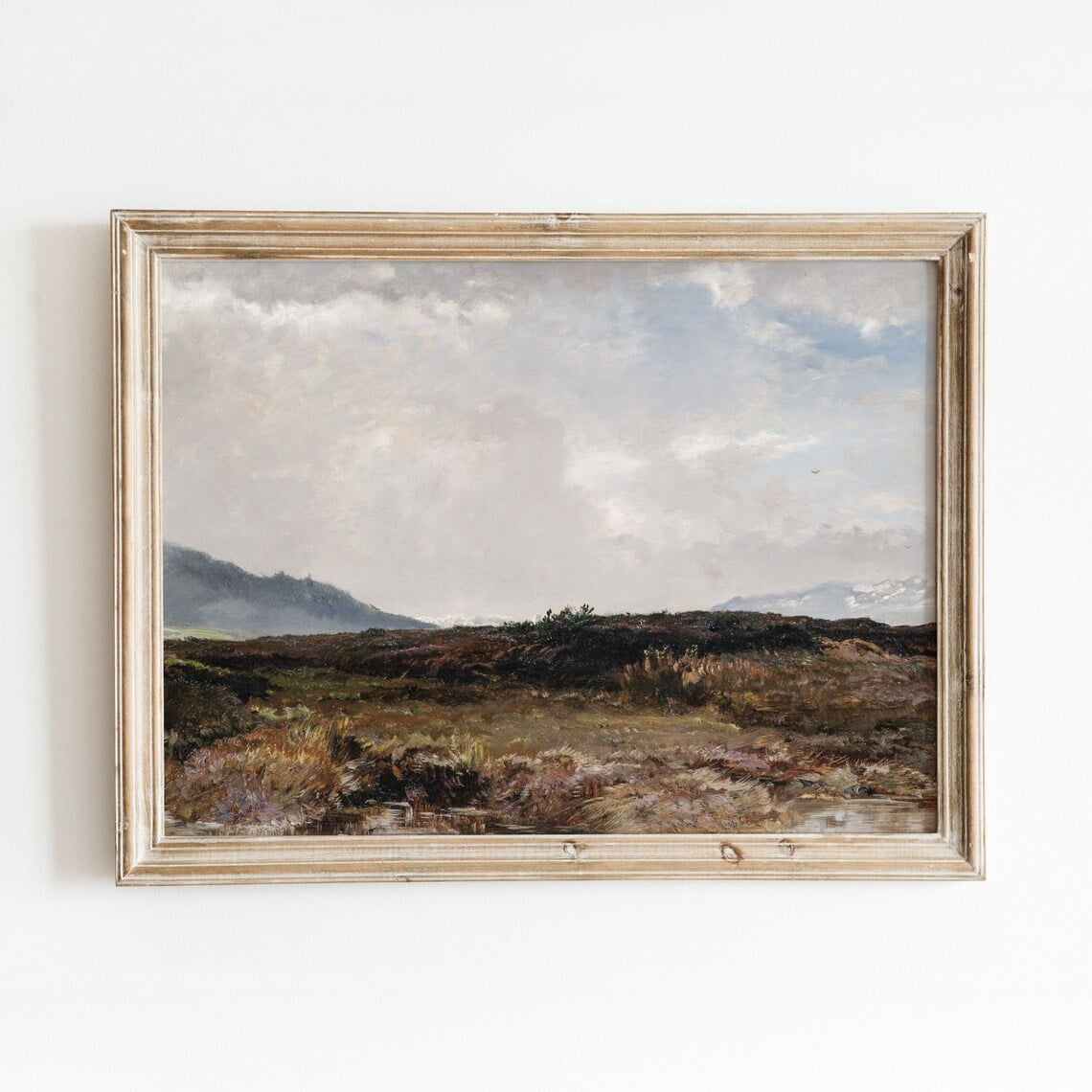 Modroom Shrubland Landscape | Vintage Landscape | Grassland Desert ...