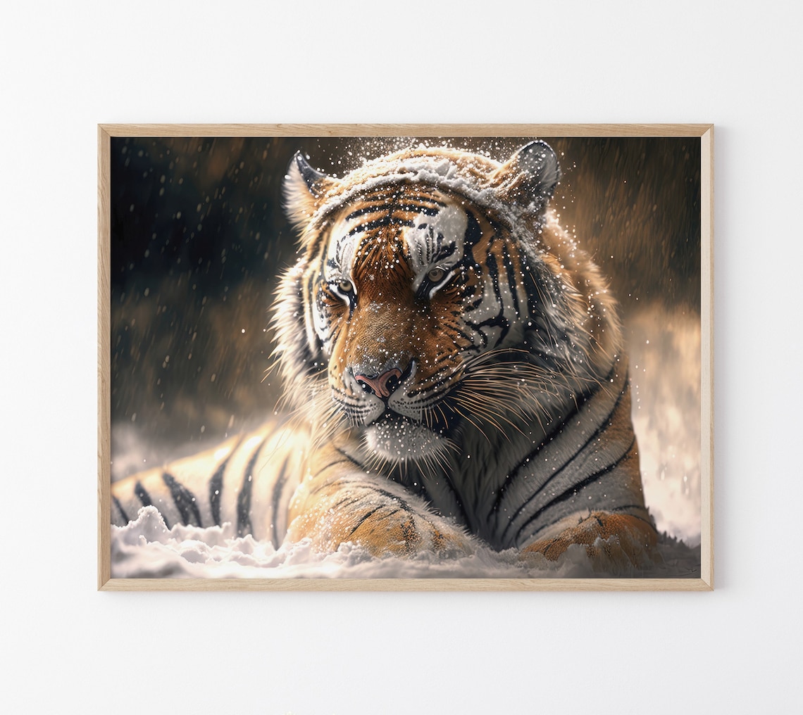 Modroom Siberian Tiger Lying Down In Thick Snowy Terrain Big Cat Wall ...