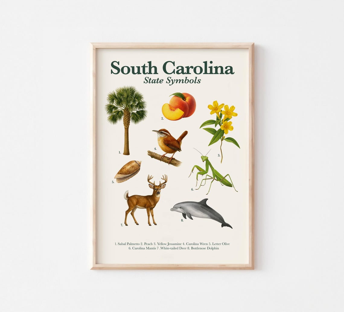 Modroom South Carolina State Symbols Poster Educational Wall Art Nature ...