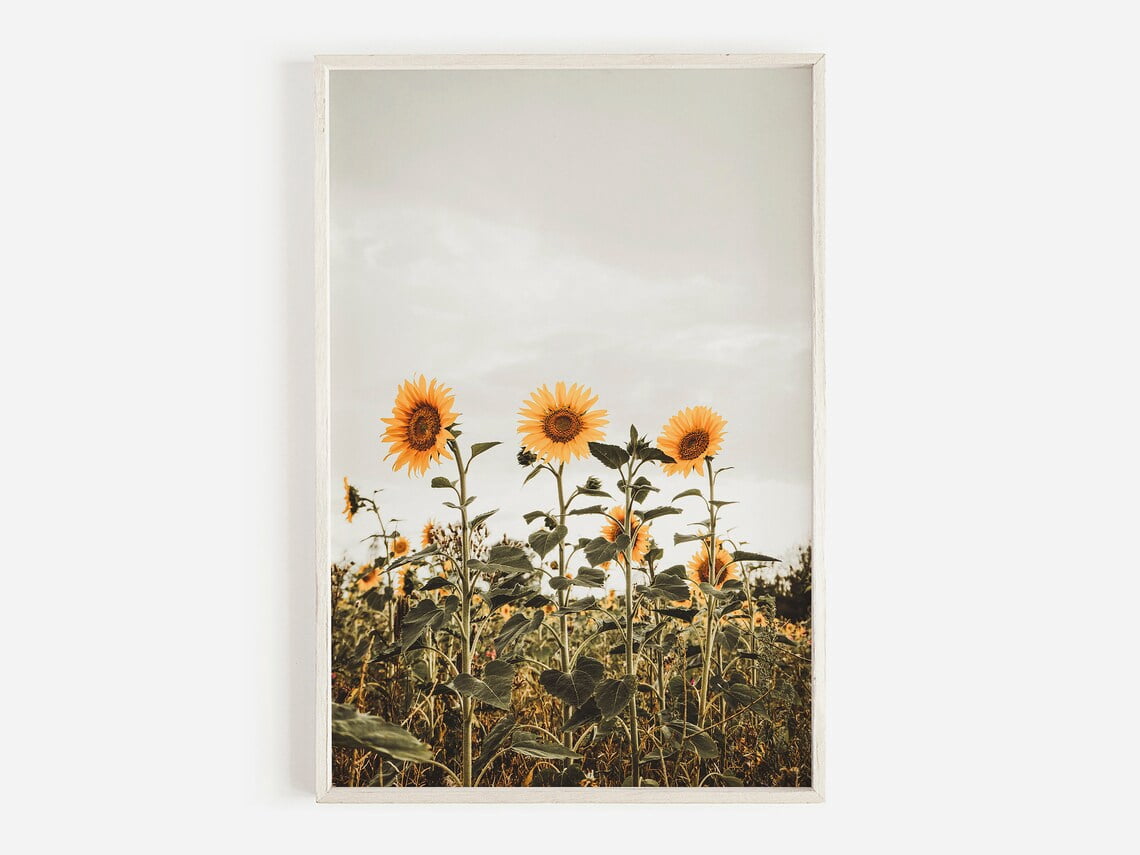 Modroom Sunflower Field, Boho Sunflower Print, Yellow Flower Poster ...