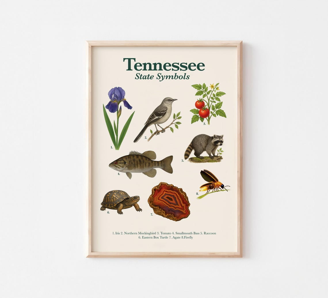 Modroom Tennessee State Symbols Poster Educational Wall Art Nature ...