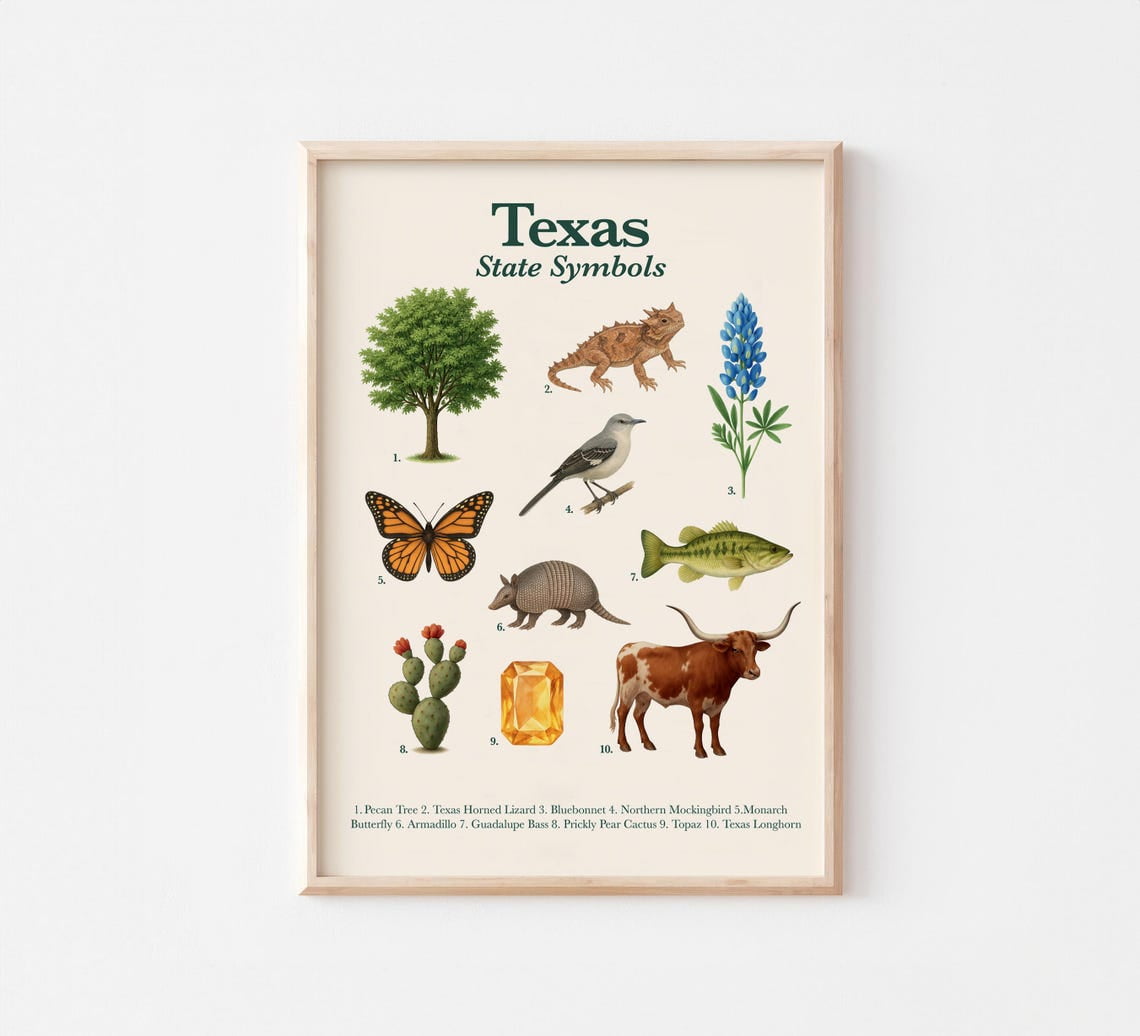 Modroom Texas State Symbols Poster | Educational | State Animal, Bird ...