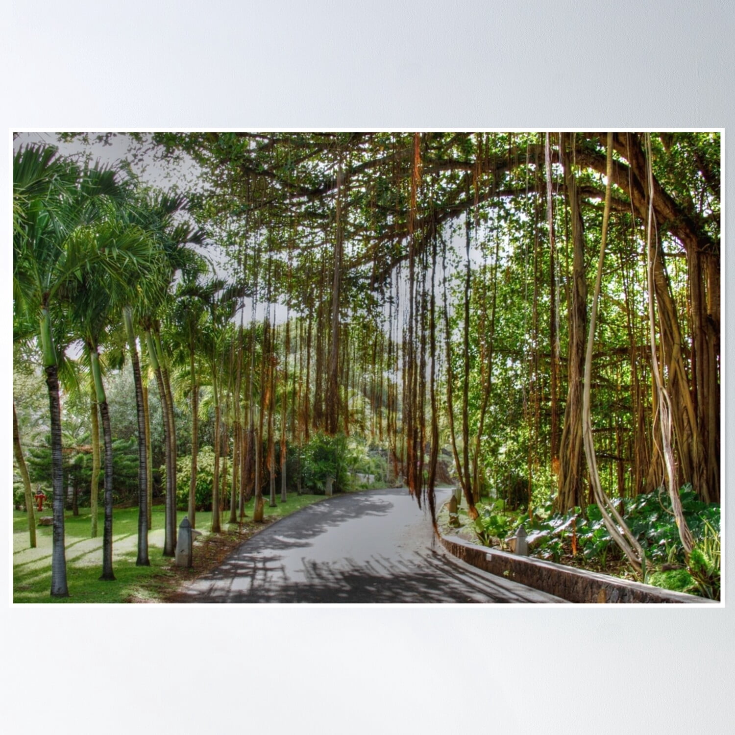Modroom The Mauritius Collection - The Banyan Tree - Lux Grand Gaube ...