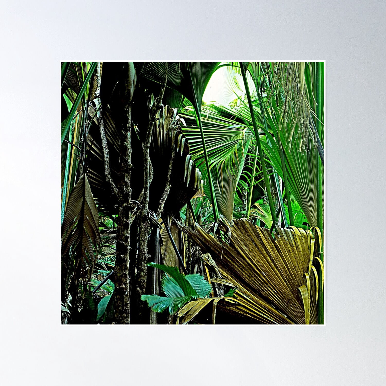 Modroom Tropic 'Garden Of Eden' Paradise: Breathtaking Seychelles ...