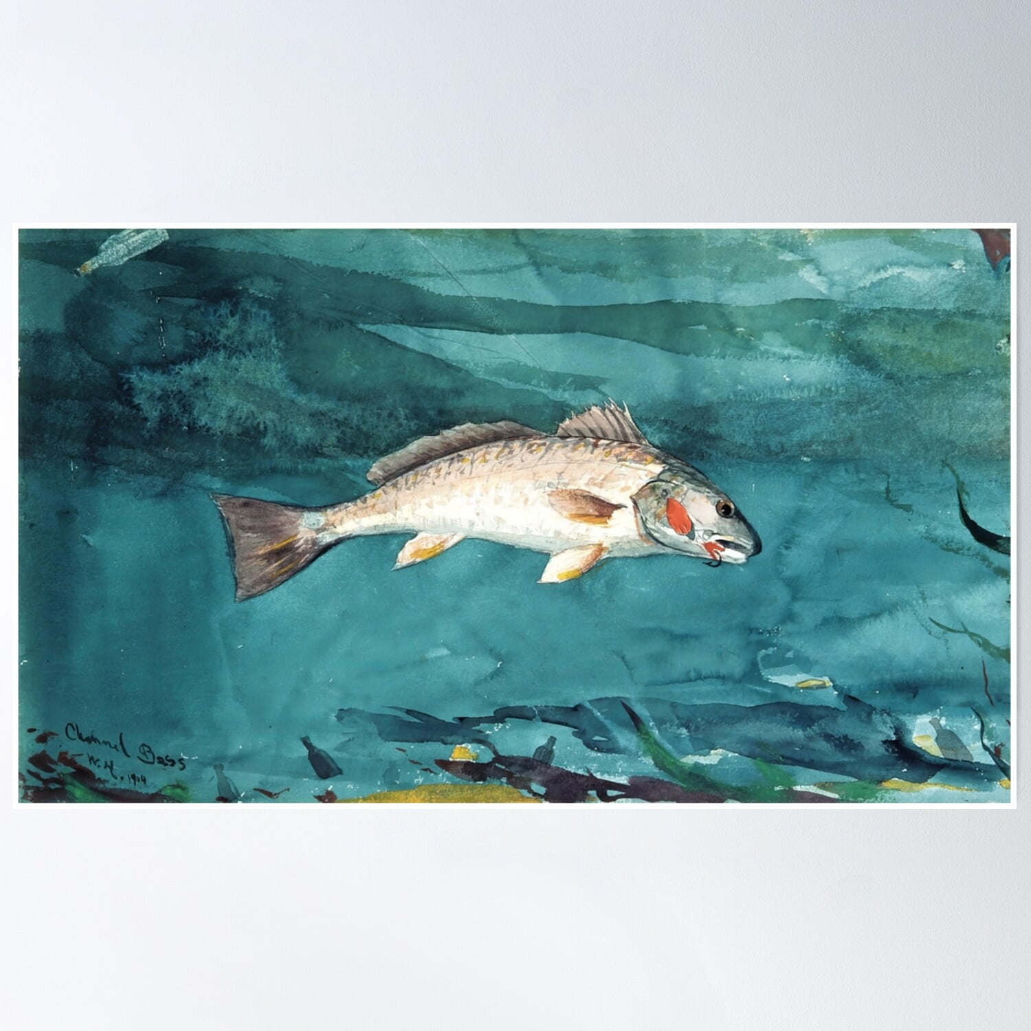 Modroom Underwater Fish Painting - Watercolor Art Of Channel Bass In ...