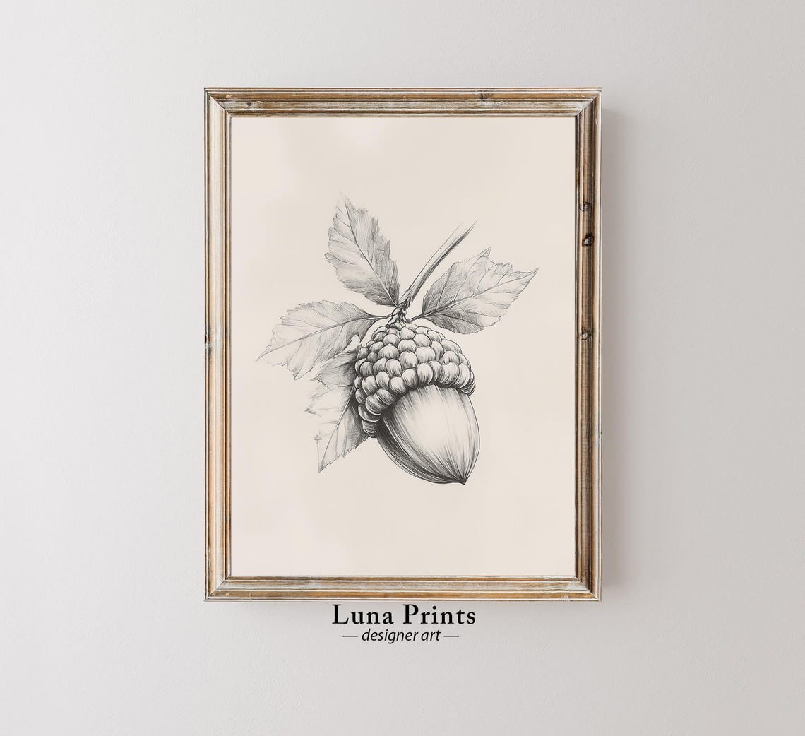 Modroom Vintage Acorn Botanical Drawing Neutral Autumn Wall Art, 8x12 ...