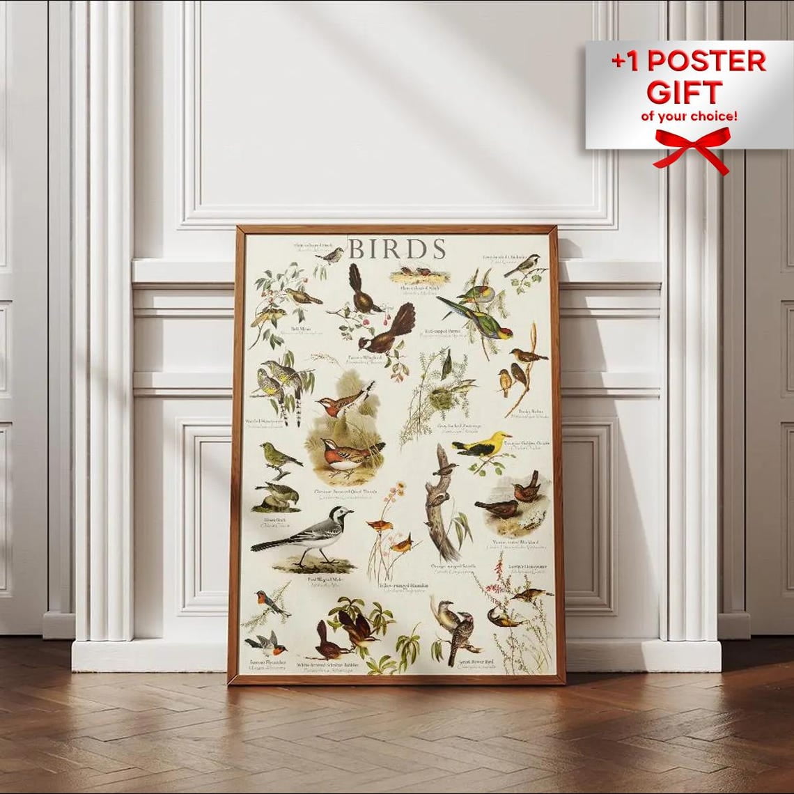 Modroom Vintage Birds, Antique Bird Poster, Educational Poster Forest ...