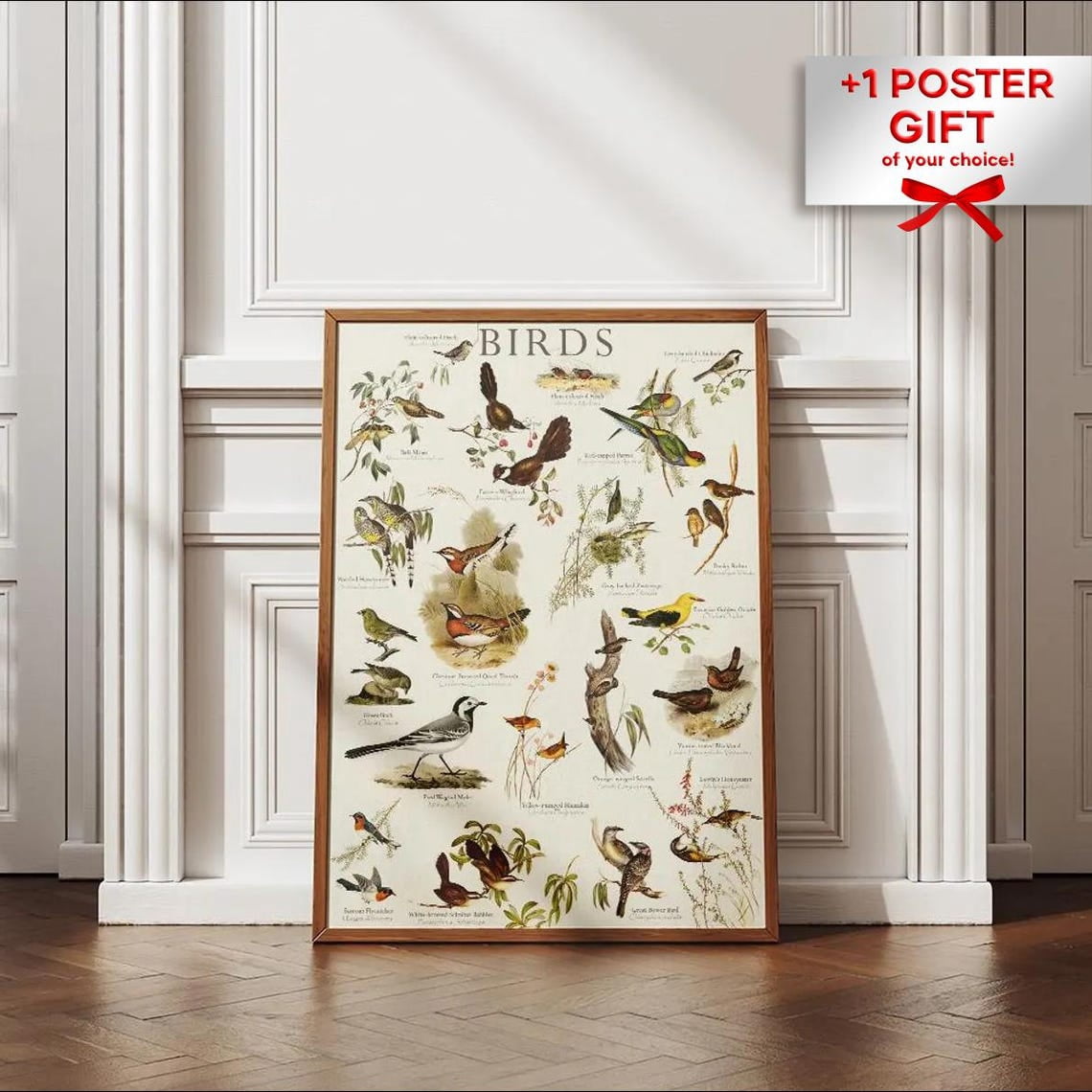 Modroom Vintage Birds, Antique Bird Poster, Educational Poster Forest ...