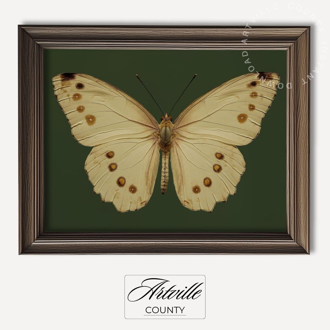 Modroom Vintage Butterfly Wall Art, Sage Green Insect Print, Botanical ...