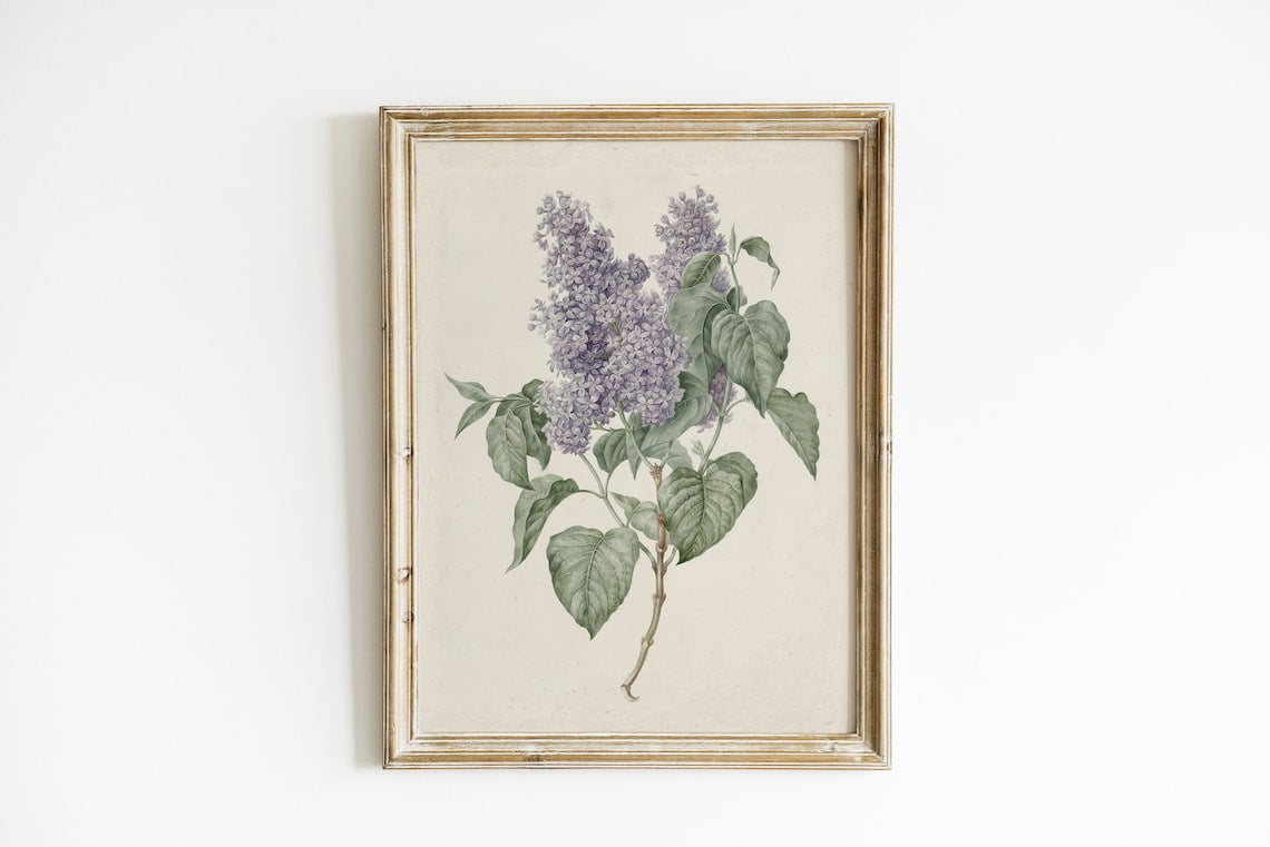 Modroom Vintage Lilacs Botanical Print | Vintage Lilac Flower | Flower ...