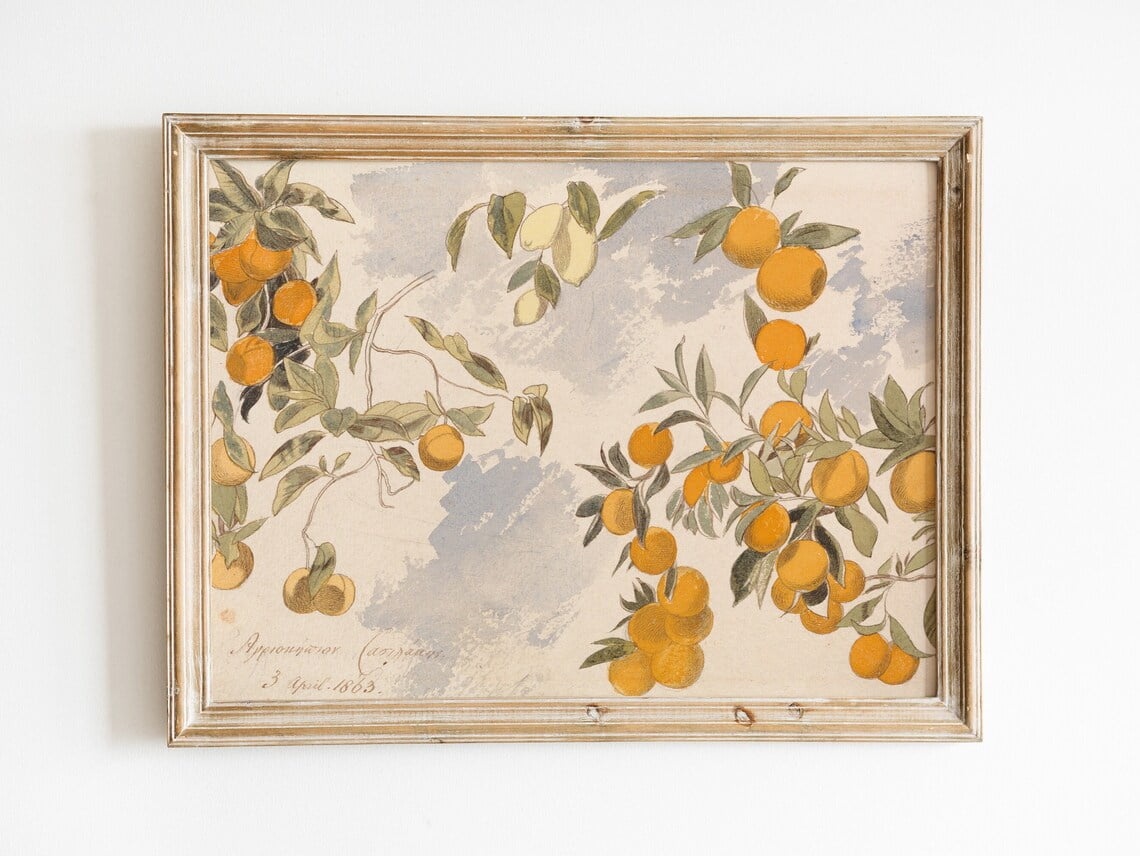 Modroom Vintage Oranges And Lemons Painting, Edward Lear Fruit Trees ...