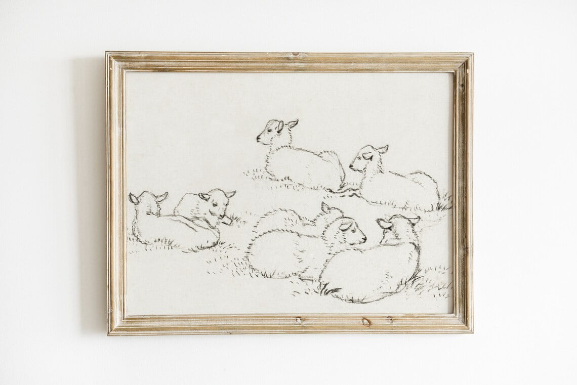 Modroom Vintage Sheep Sketch | Sheep Line Art | Pencil Sketch Drawing ...