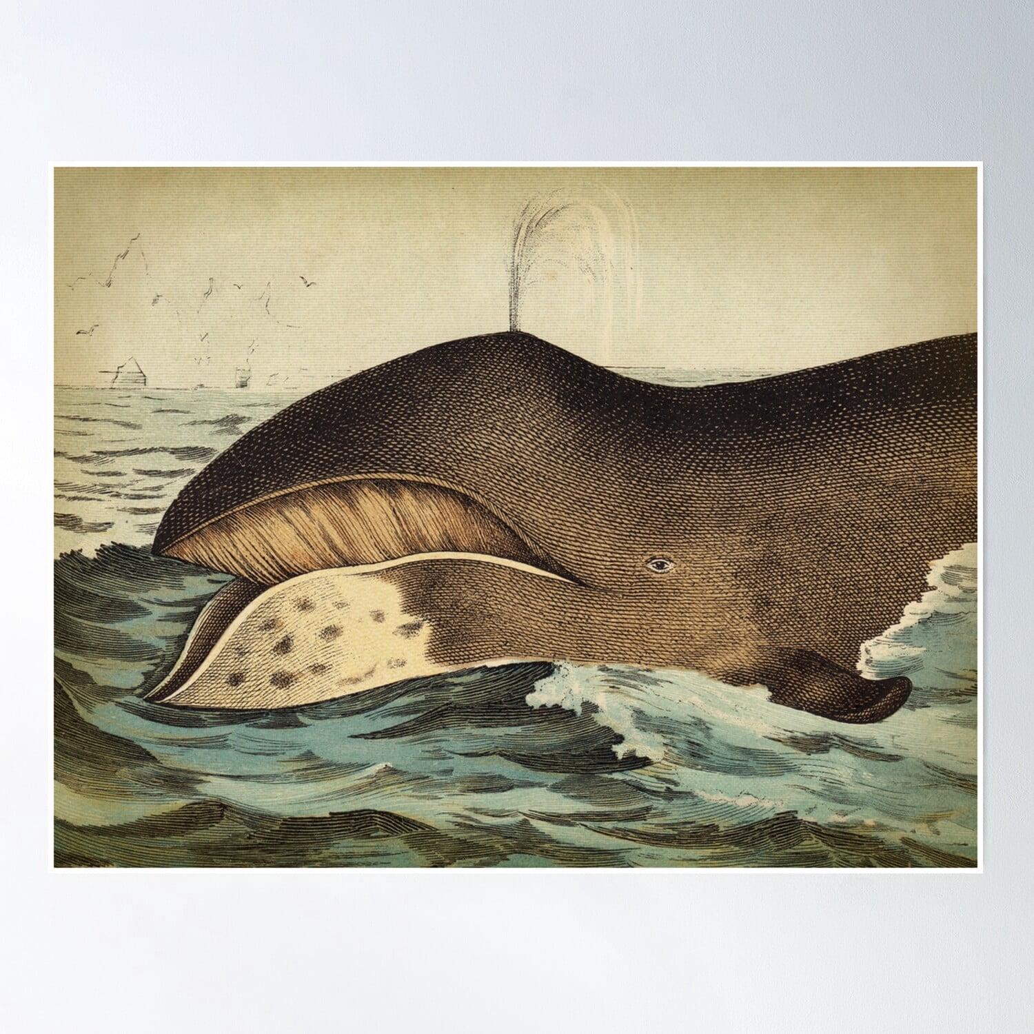 Modroom Whale Big Head Poster Wall Art, Modern Wall Decor, 12x18 ...