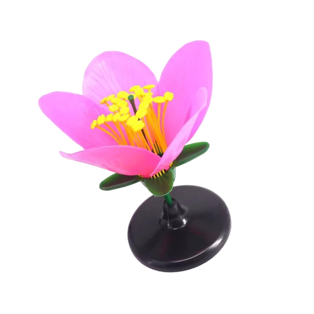 Modular Educational Flower Structure Model Realistic Color Accuracy ...