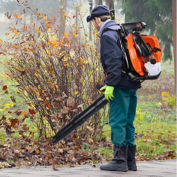 Mohsoe Ergonomic Design Backpack Leaf Blower, Load Management System ...