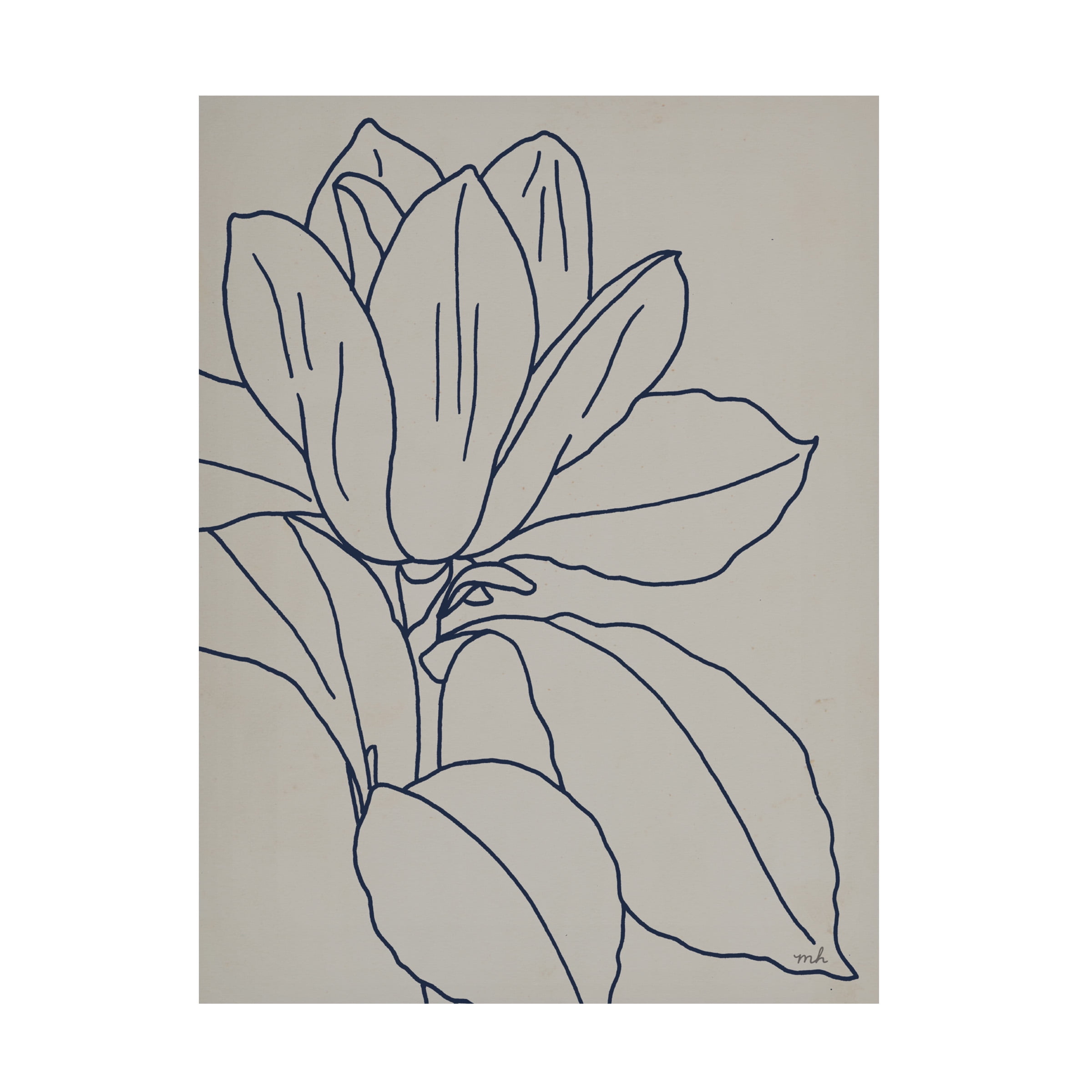 Moira Hershey 'Magnolia Line Drawing v2 Gray Crop' Canvas Art - Walmart.com