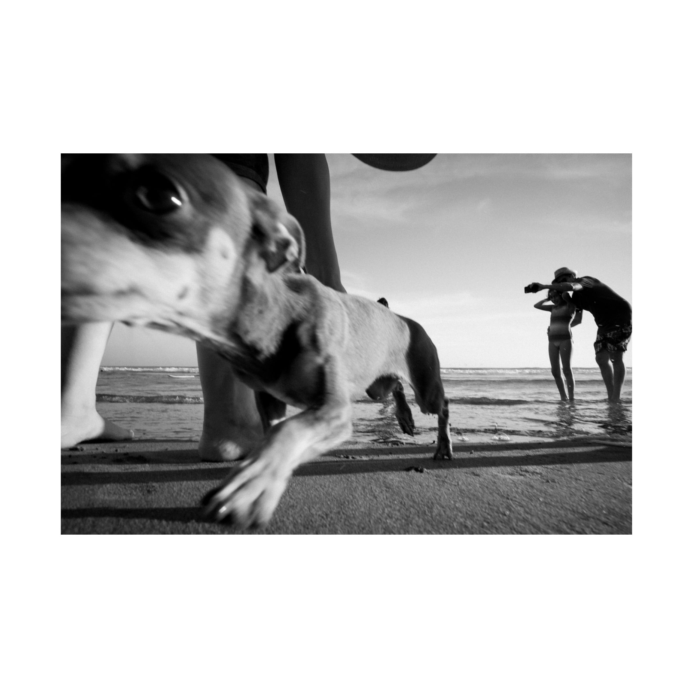 Moises Levy 'Action 2' Canvas Art - Walmart.com