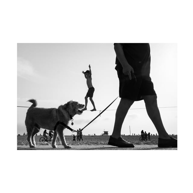 Moises Levy 'Balance 22' Canvas Art - Walmart.com