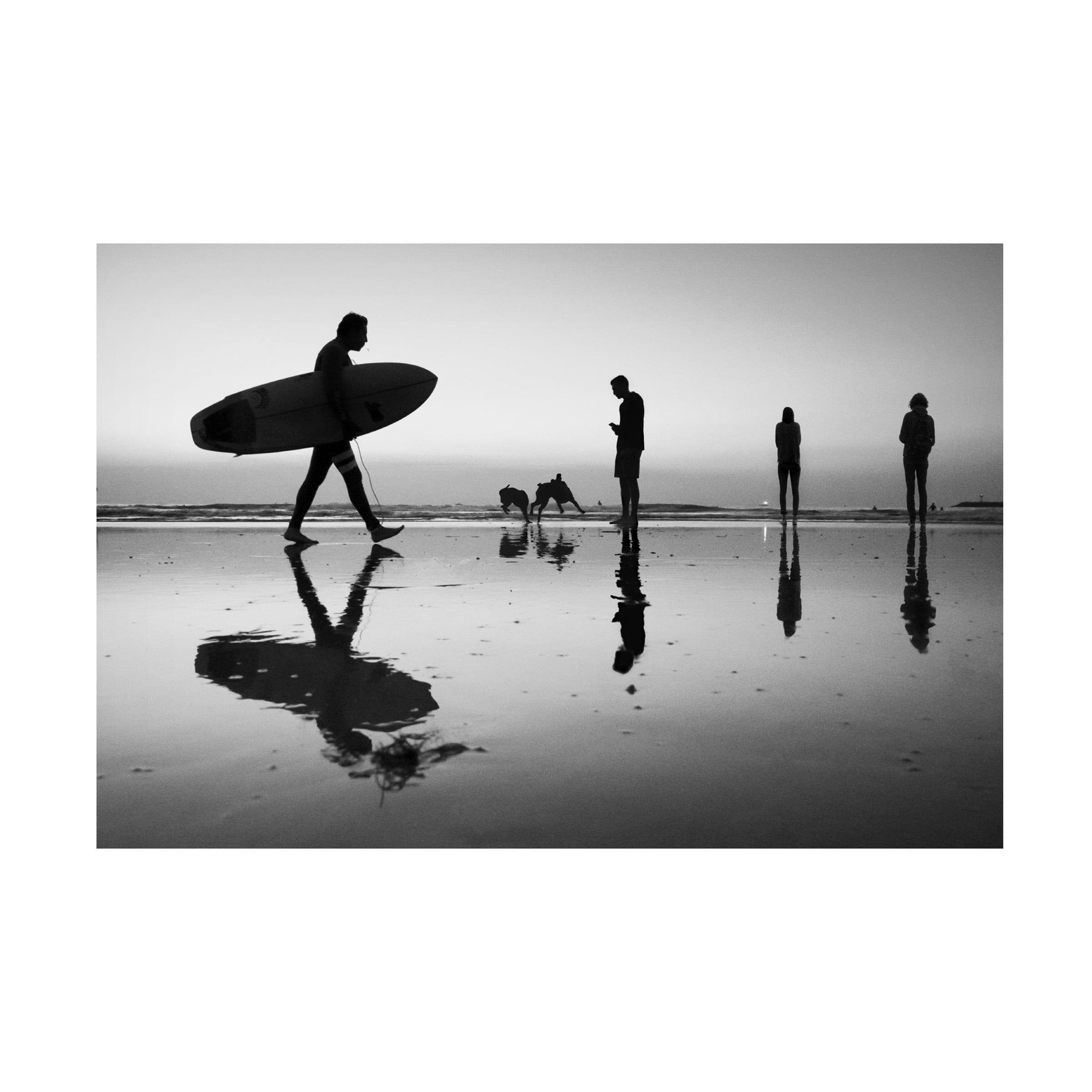 Moises Levy 'Dog City 20' Canvas Art - Walmart.com