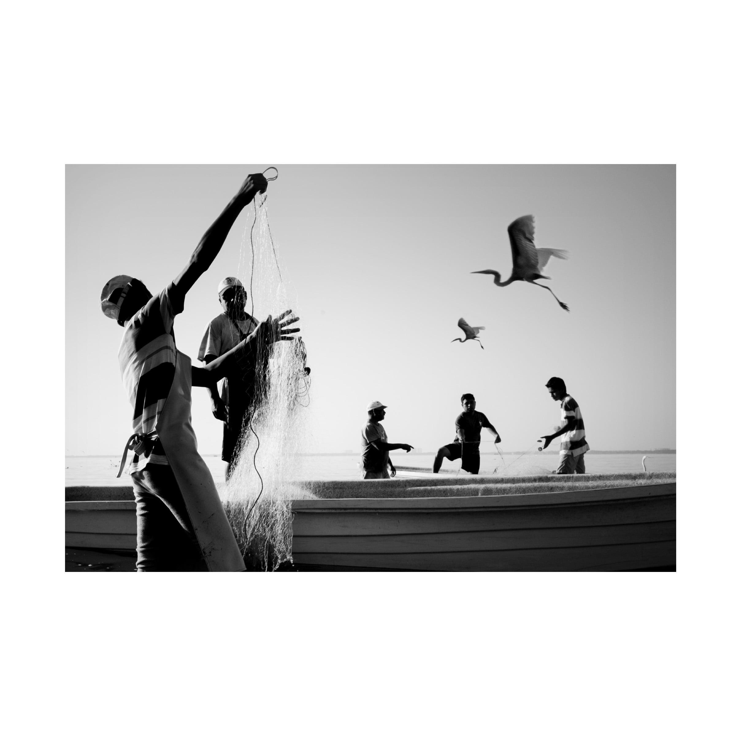 Moises Levy 'Tropical Shadows 24' Canvas Art - Walmart.com