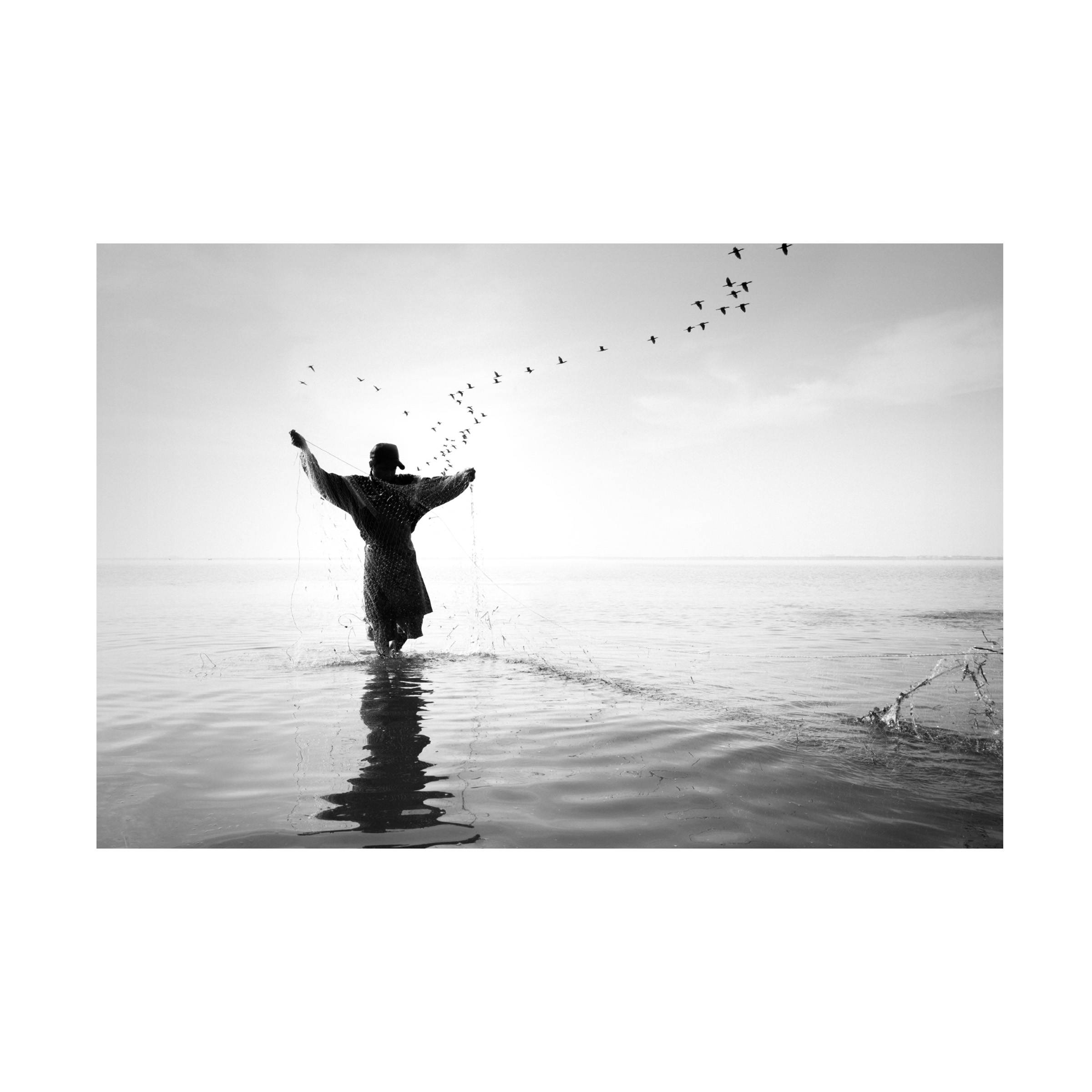 Moises Levy 'Tropical Shadows 7' Canvas Art - Walmart.com