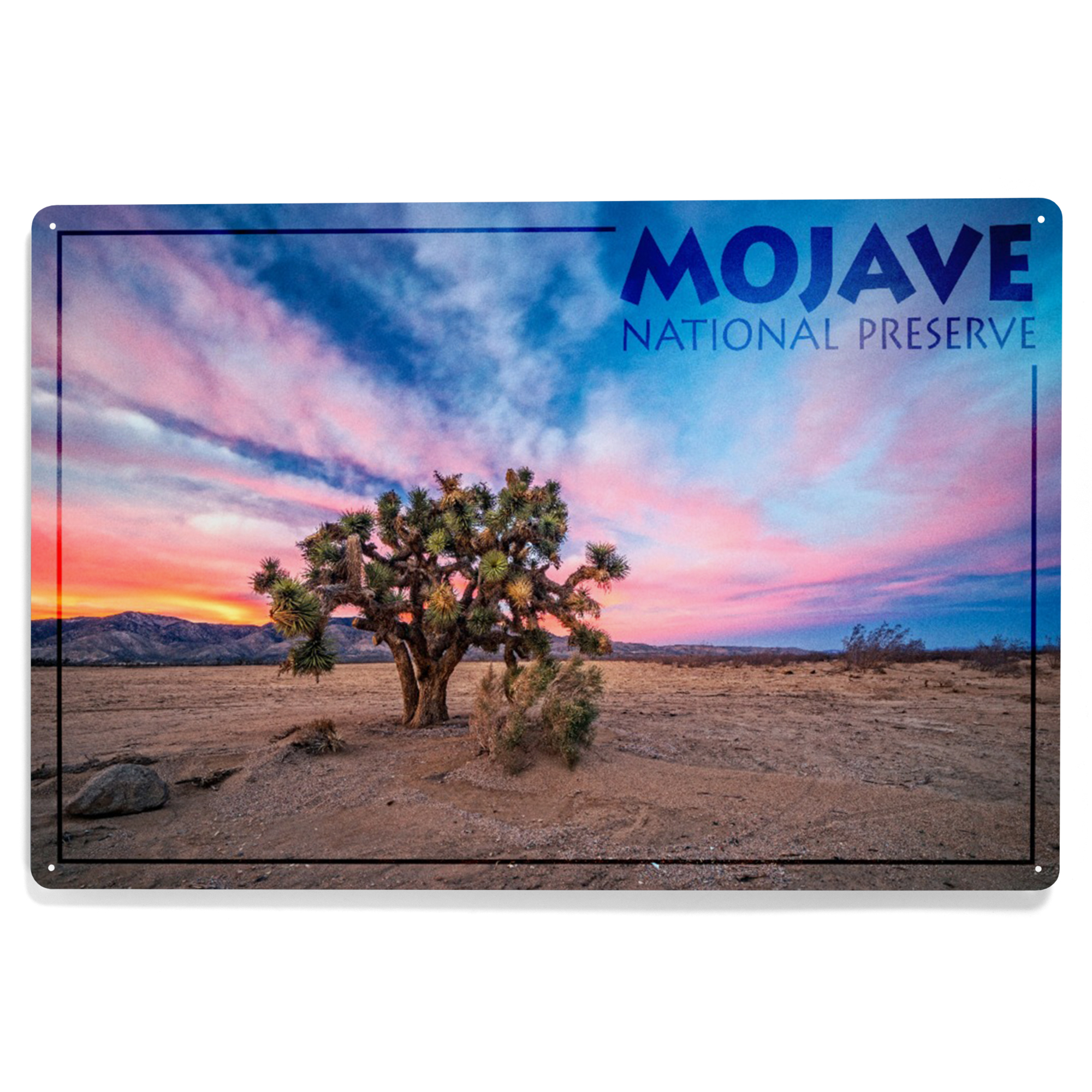 Mojave National Preserve, California, Joshua Tree on Flood Plain at ...