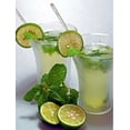 Mojito Mint Plant - Mentha villosa - Grow Indoors or Out - Live Plant ...